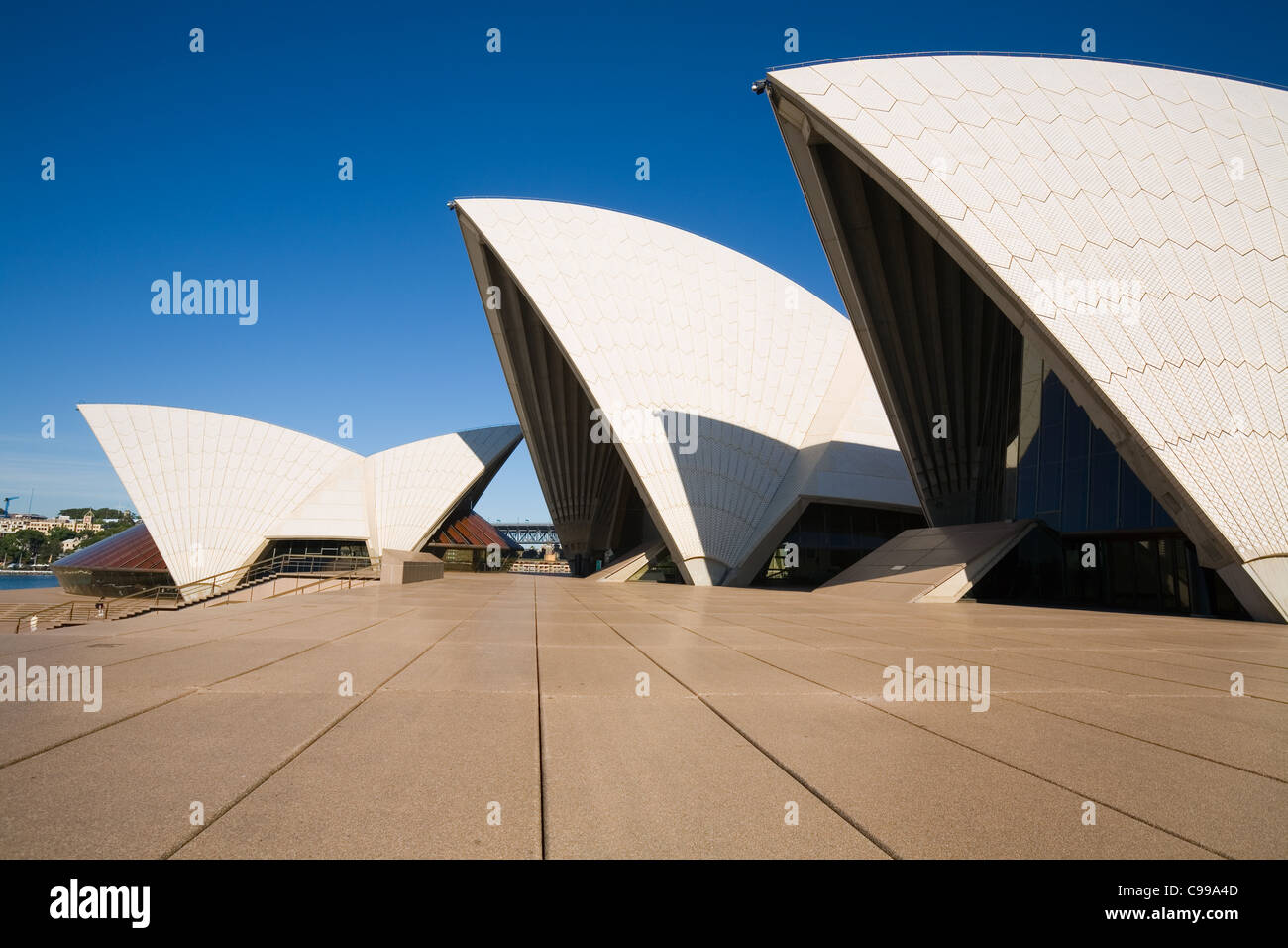 The iconic arches of the Sydney Opera House. Sydney, New South Wales ...