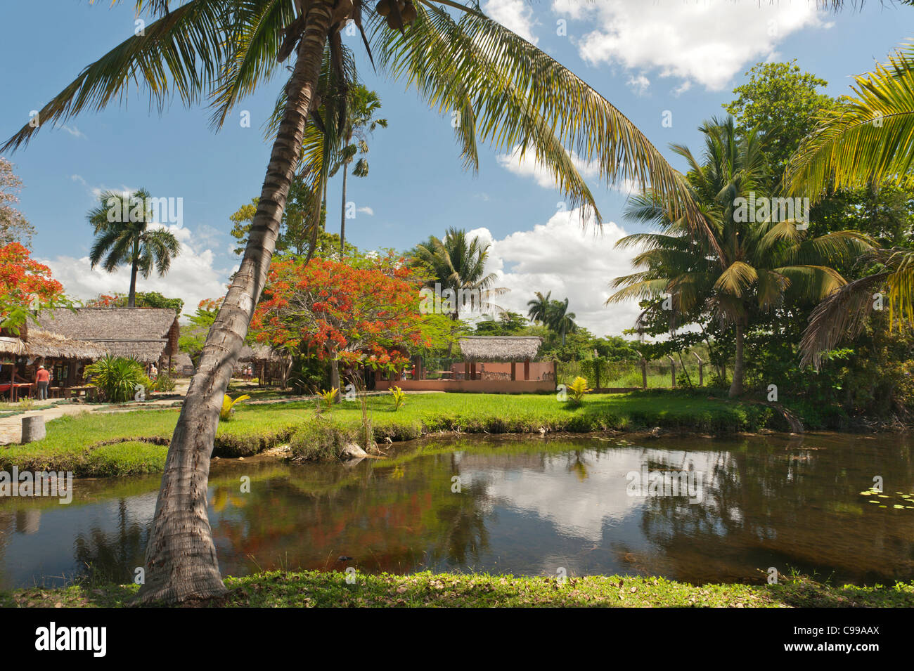 Laguna de las Salinas Cienfuegos Cuba Stock Photo - Alamy