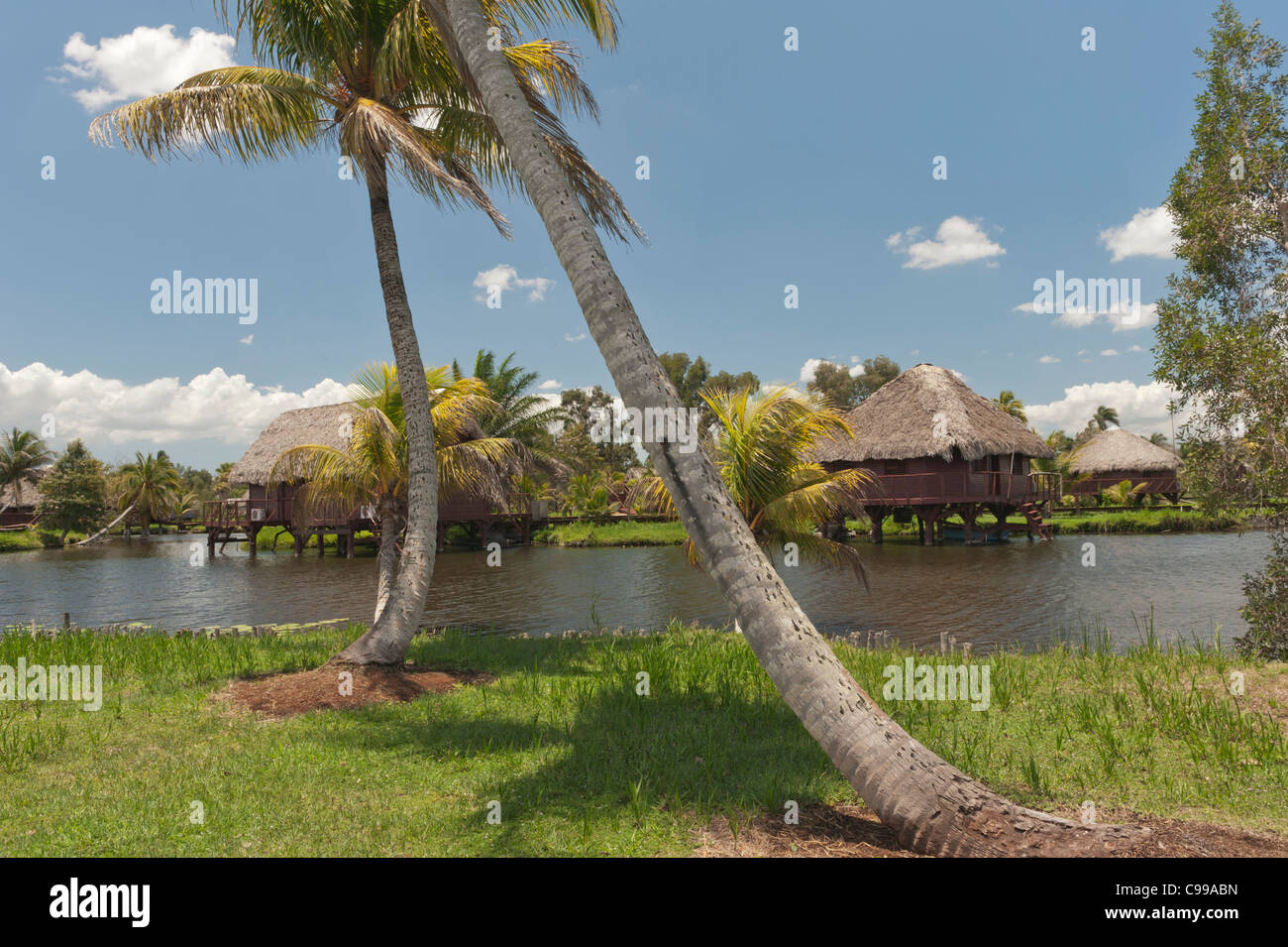 Laguna de las Salinas Cienfuegos Cuba Stock Photo - Alamy