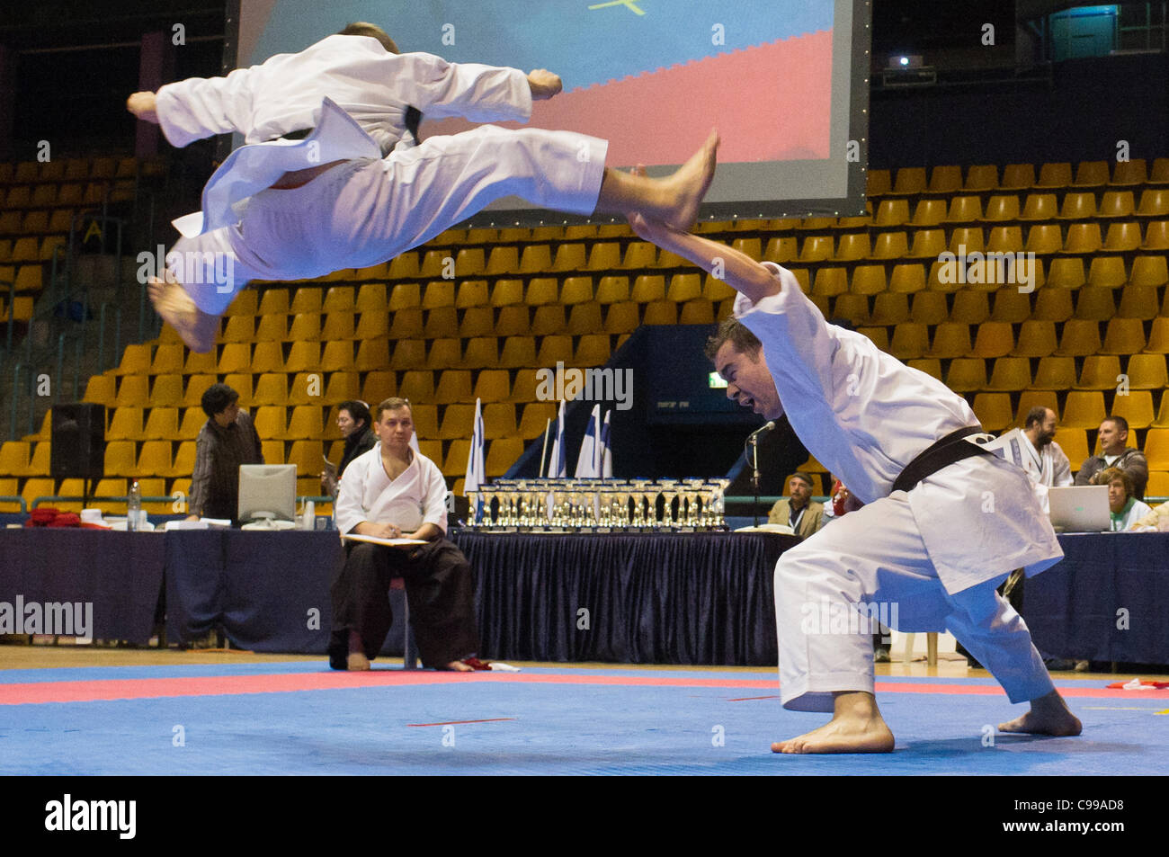 Athletes perform choreographed En-Bu Kata before judges at the 2011 ...