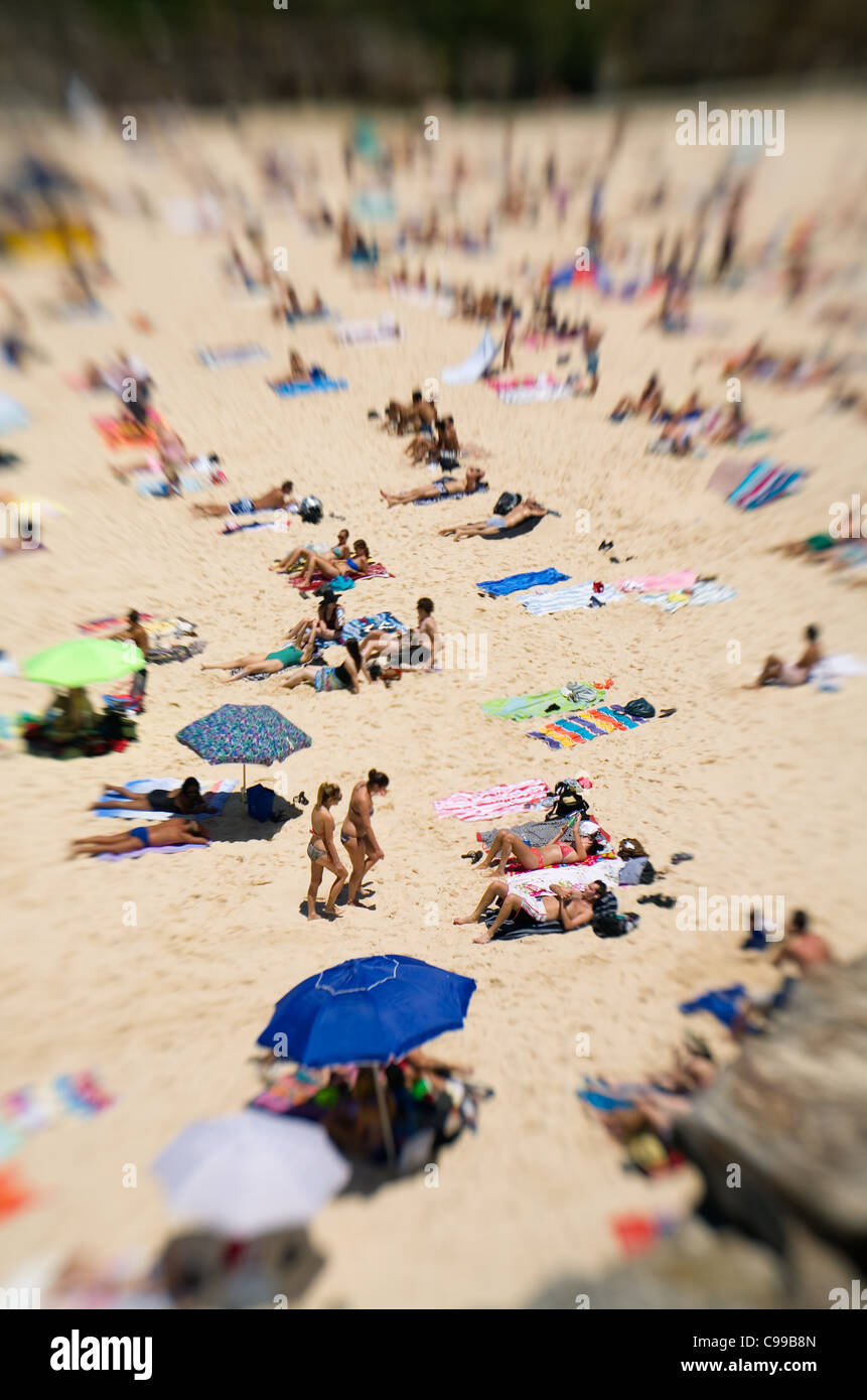 Sunbathers on the sands of Tamarama Beach. Sydney, New South Wales ...