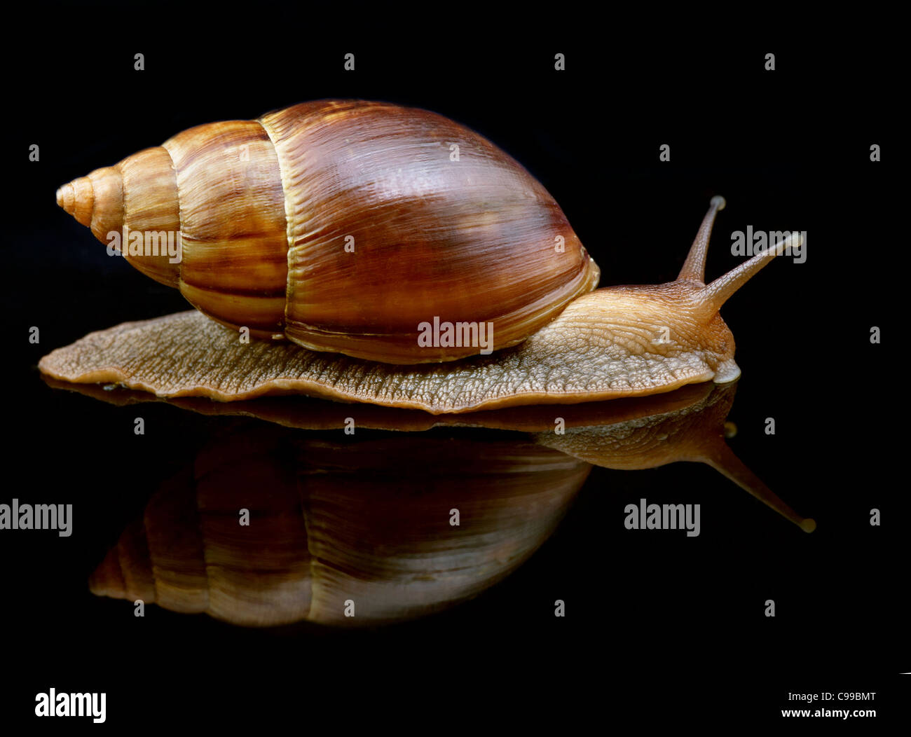 Full length mirror cut out hi-res stock photography and images - Alamy