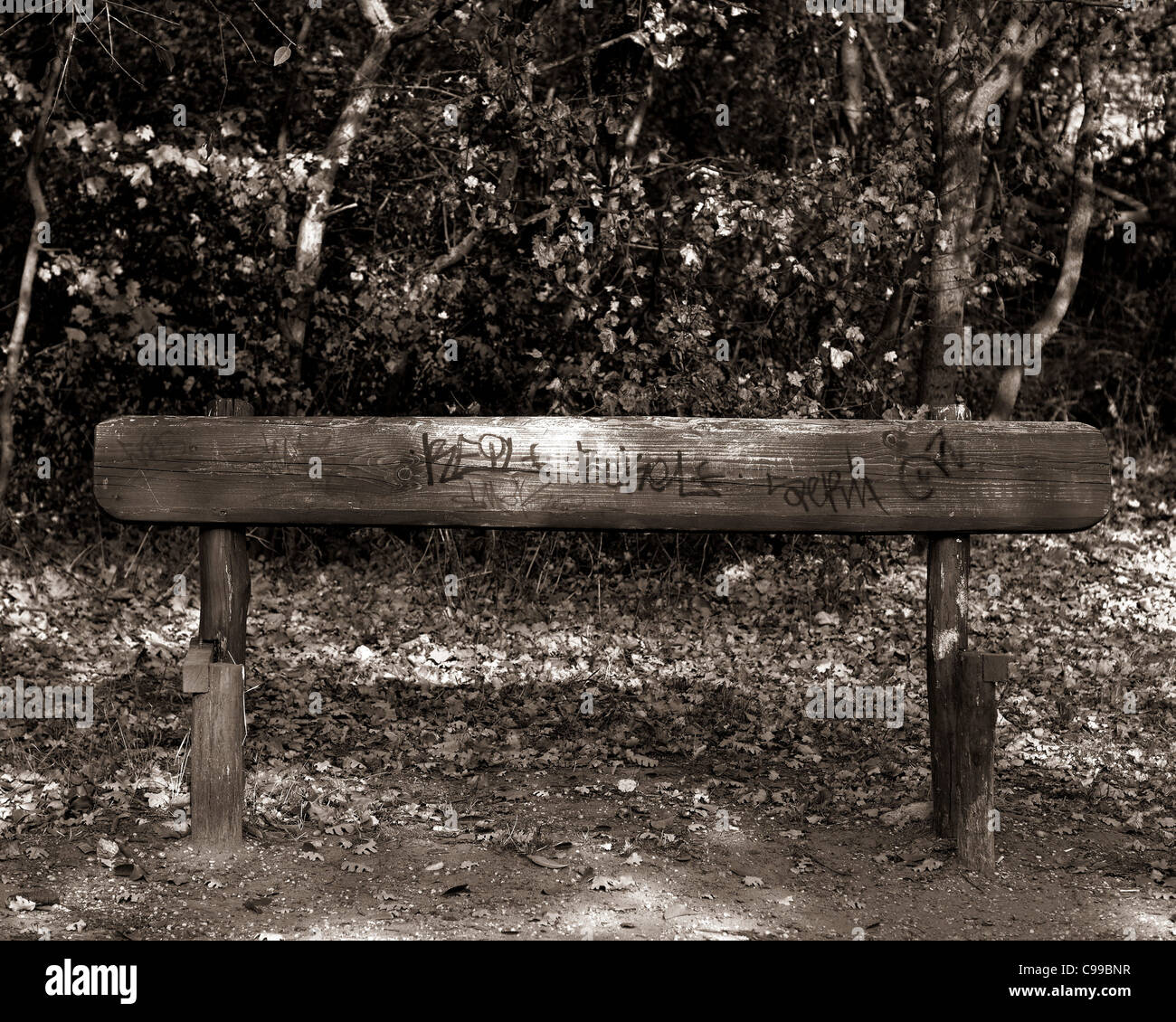 A broken park bench in Budapest in Autumn Stock Photo - Alamy