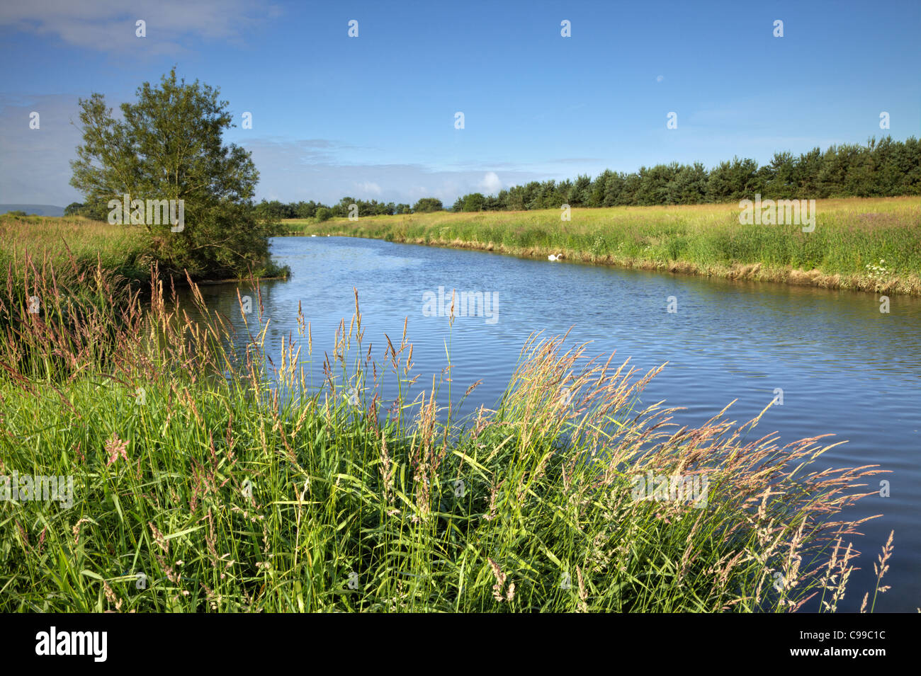 River Arun, near Pulborough, West Sussex Stock Photo - Alamy