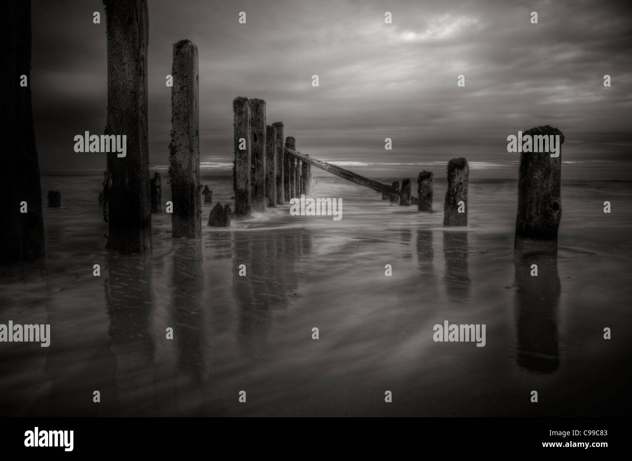 Groynes, coastal management at Spurn Point on the East Yorkshire coast ...