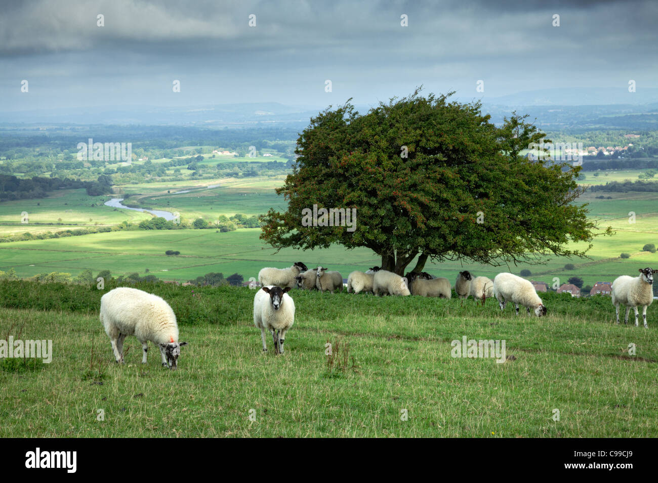 Shelter under tree hi-res stock photography and images - Alamy