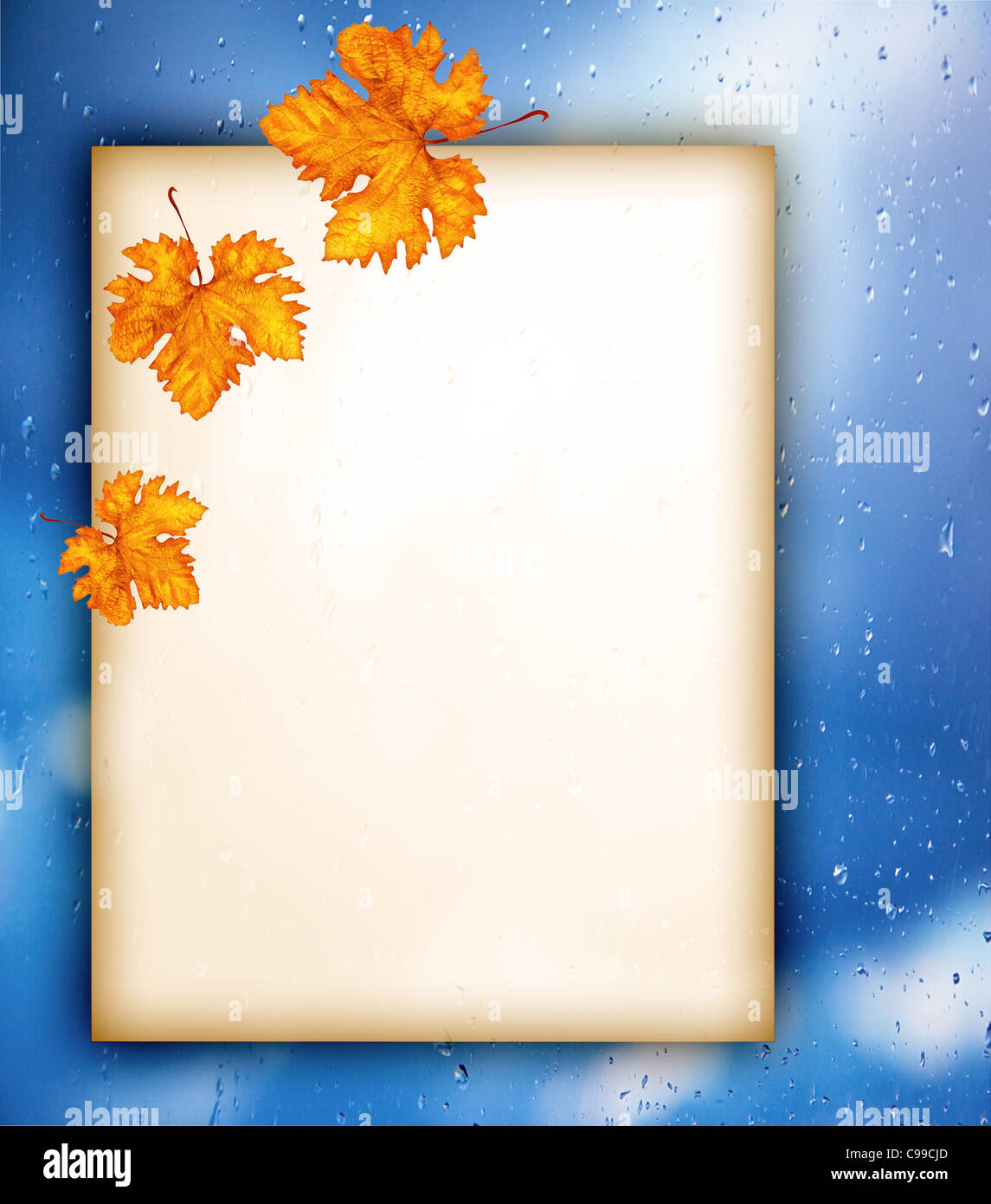 Old paper with autumn leaves over wet window abstract background, fall ...