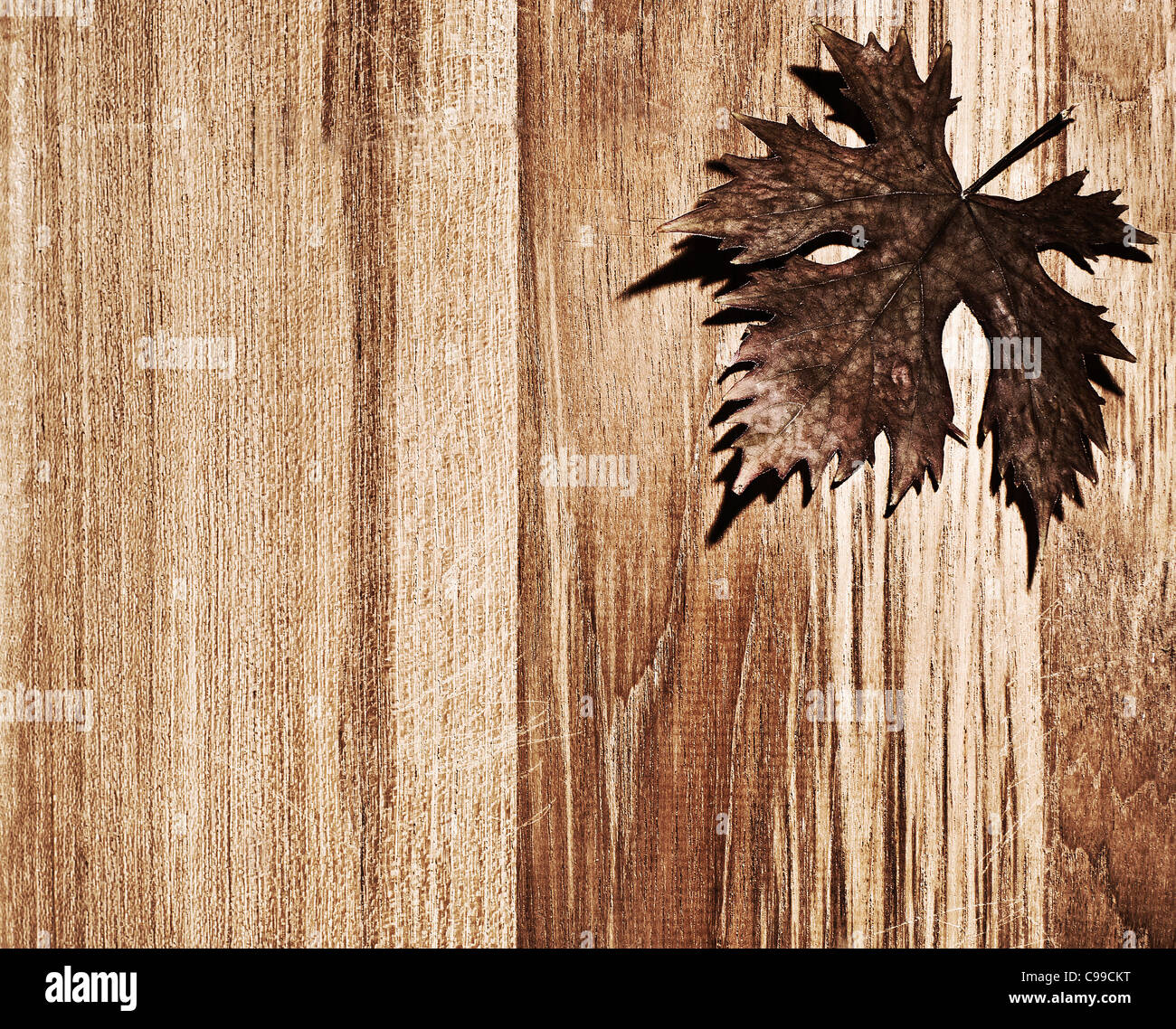 Autumn leaf border hi-res stock photography and images - Alamy