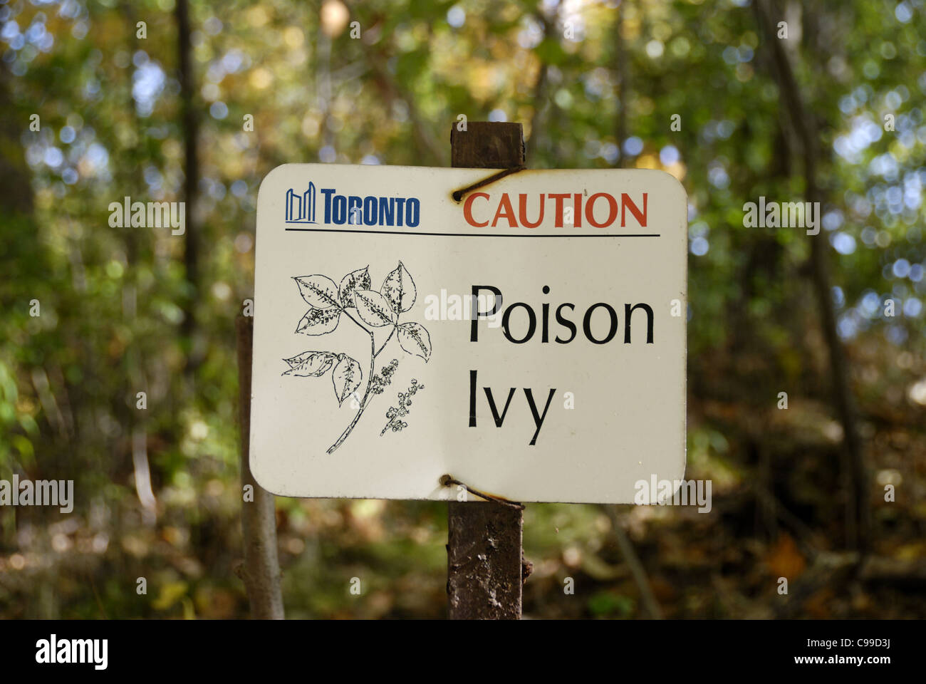 A metal sign posted on the edge of a forested area in High Park Toronto ...