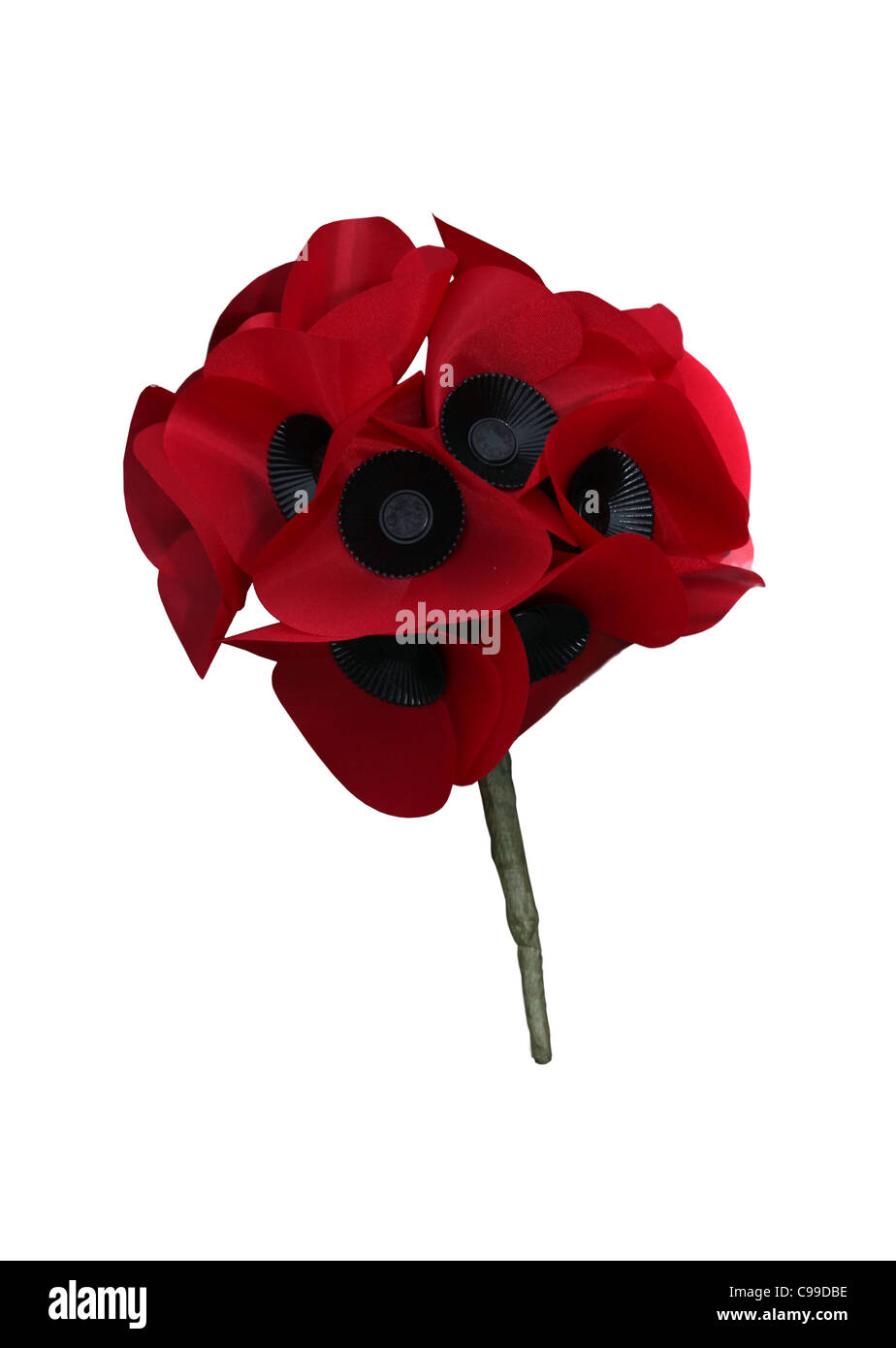 Remembrance day poppy hi-res stock photography and images - Alamy