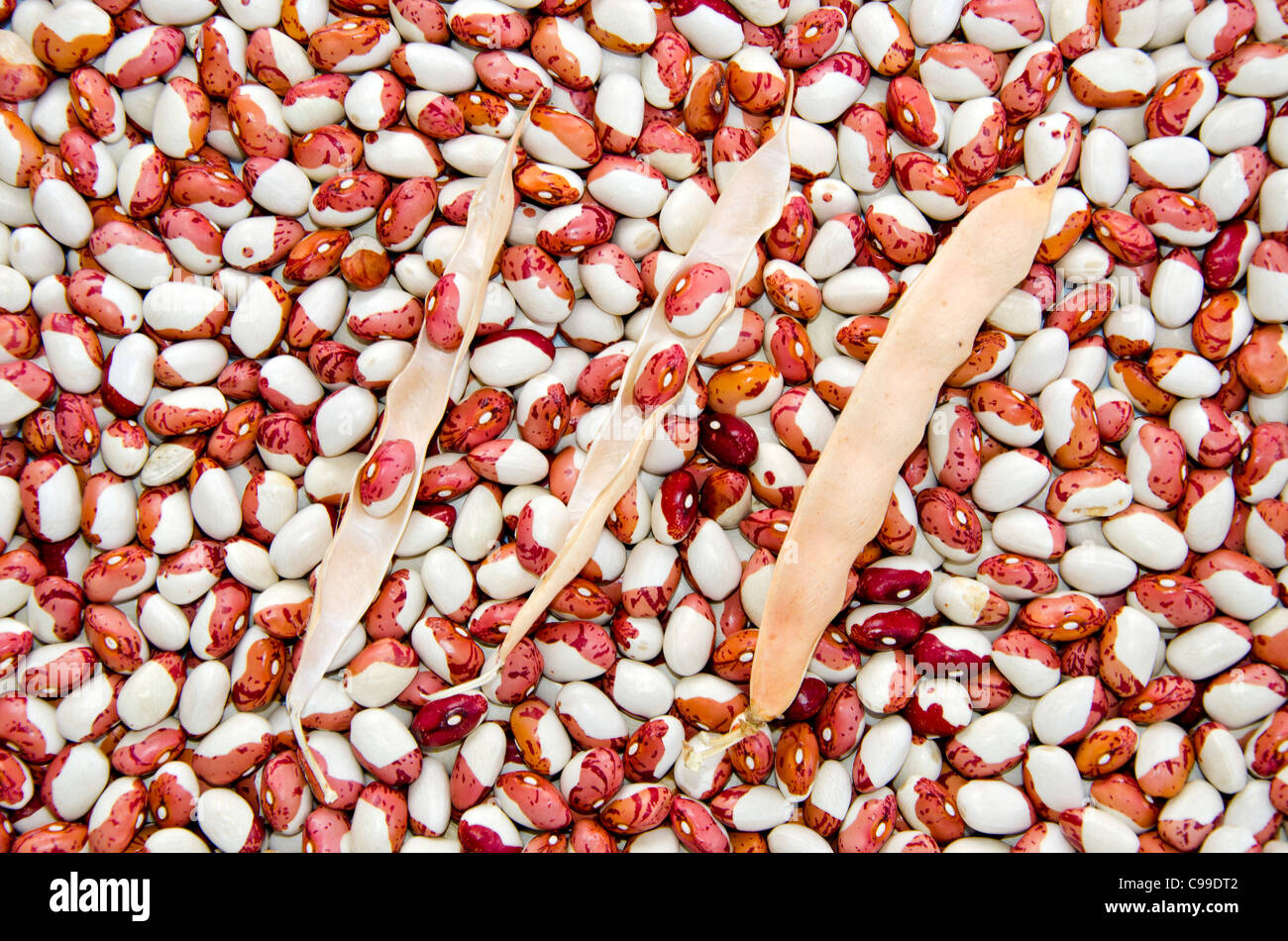 autumn beans and pods background Stock Photo - Alamy