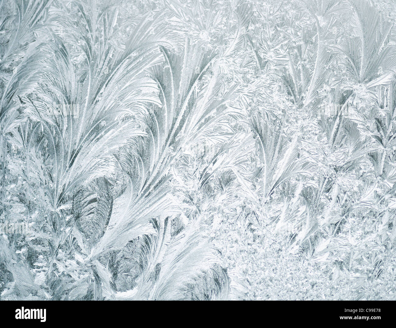 Hoar frost window hi-res stock photography and images - Alamy