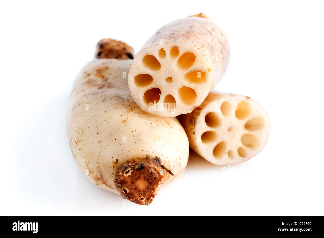 Close up fresh Lotus root on white background Stock Photo - Alamy