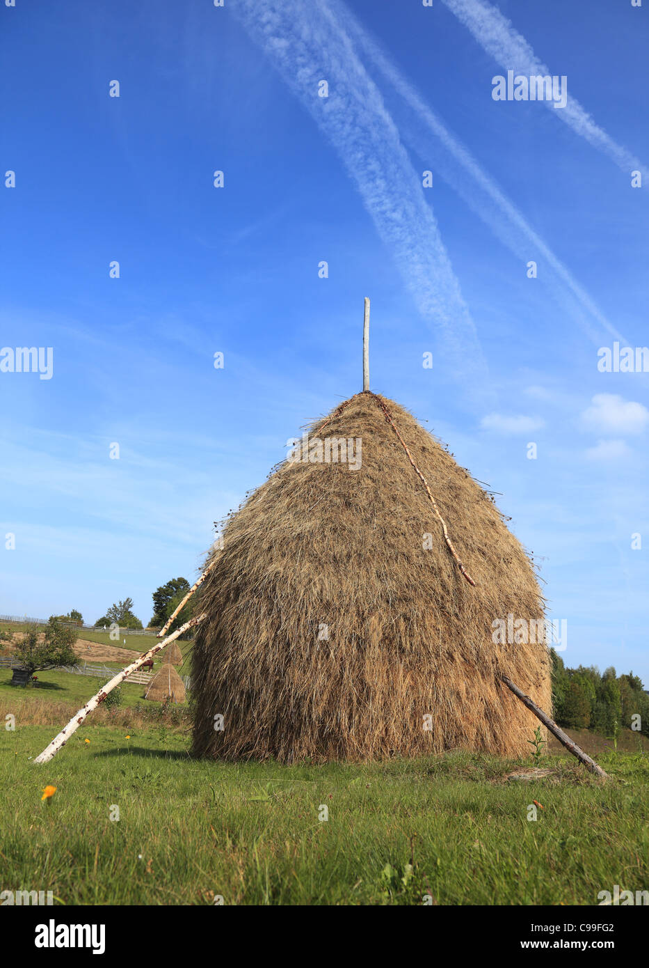 Image of a hayrick in a field against a blue sky with airplane traces ...