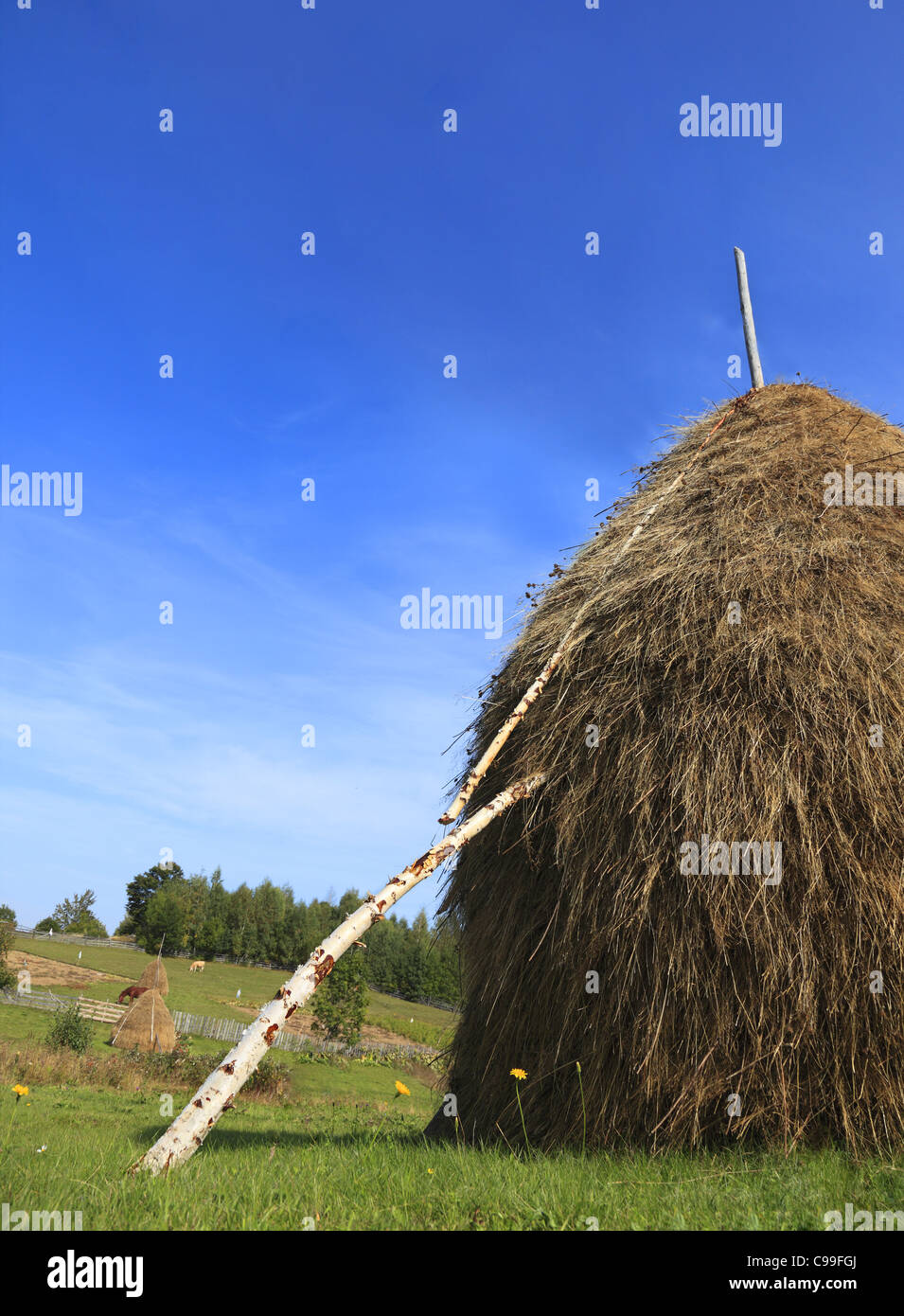 Hayrick hi-res stock photography and images - Alamy