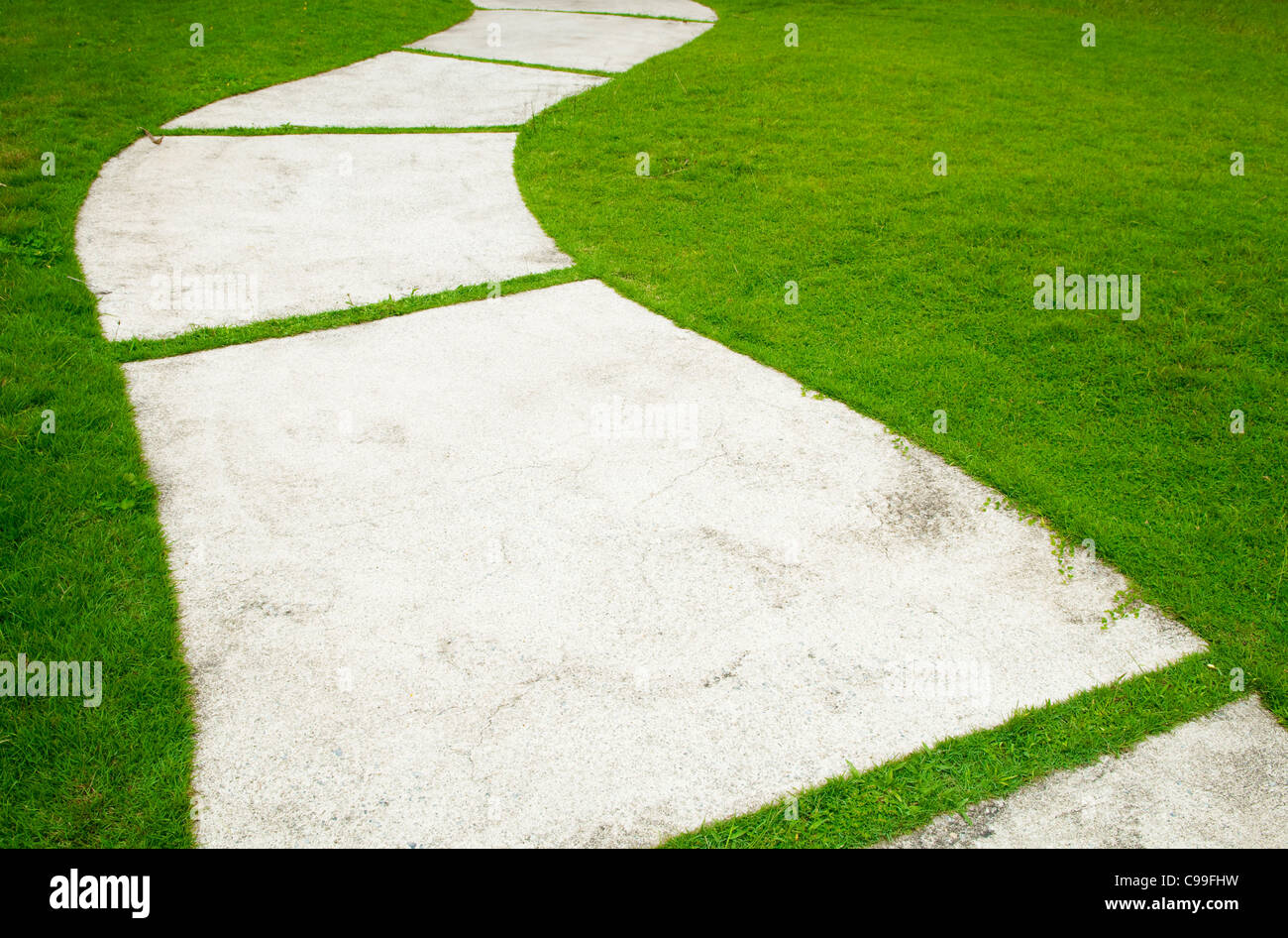 Garden path with grass growing up between the stones Stock Photo - Alamy