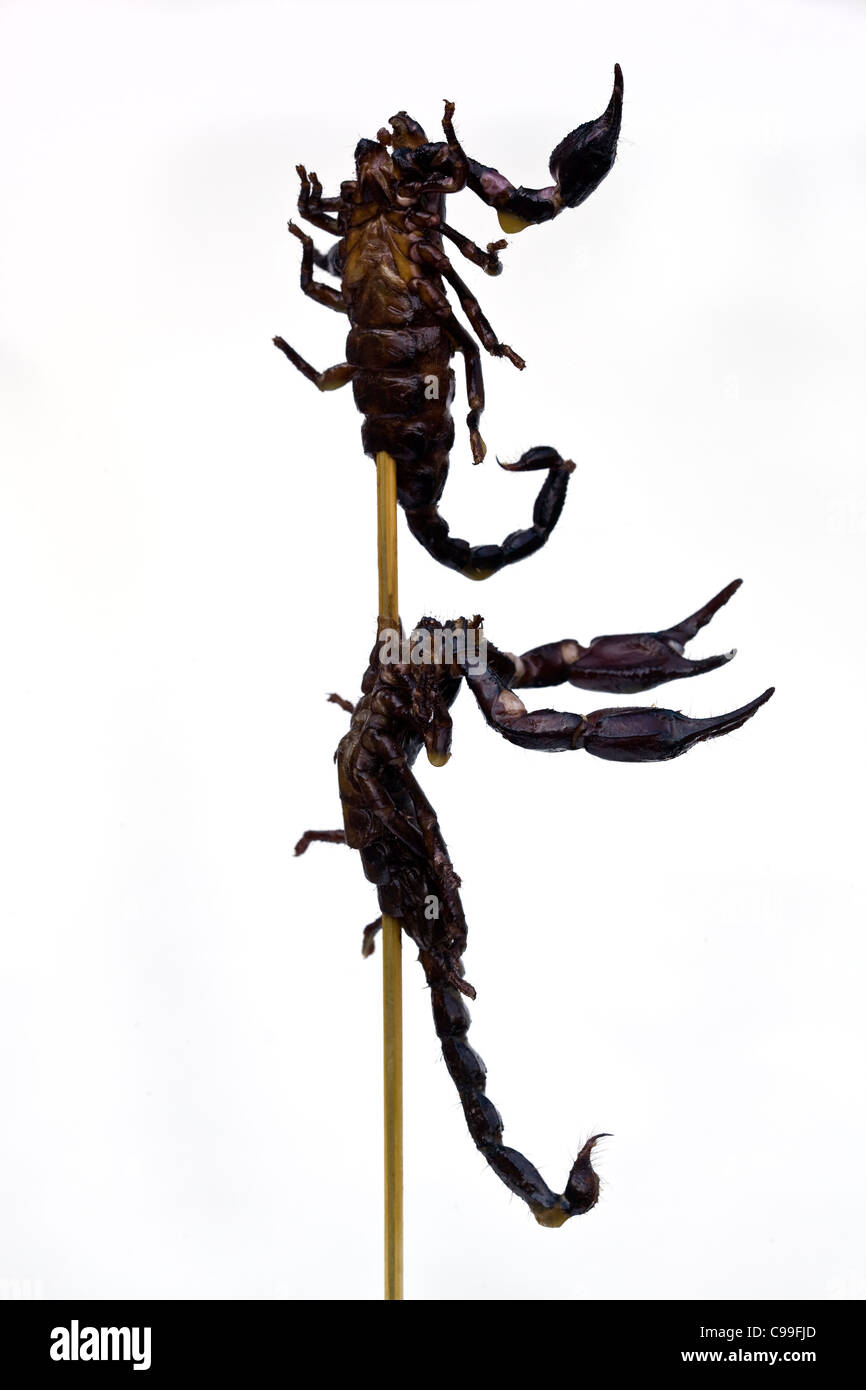 Cooked Scorpion as on sale in Beijing and other parts of Asia - An ...