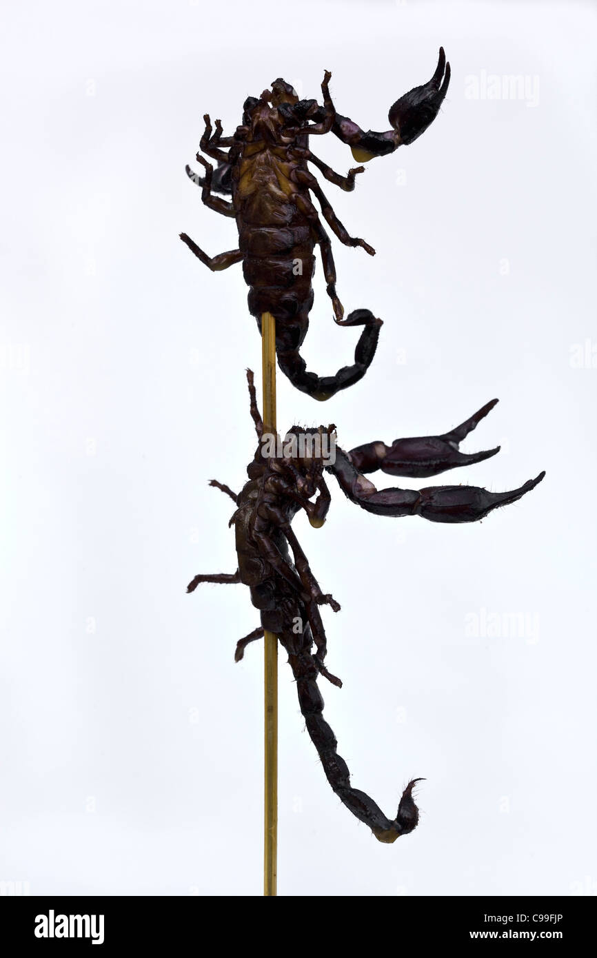 Cooked scorpions hi-res stock photography and images - Alamy