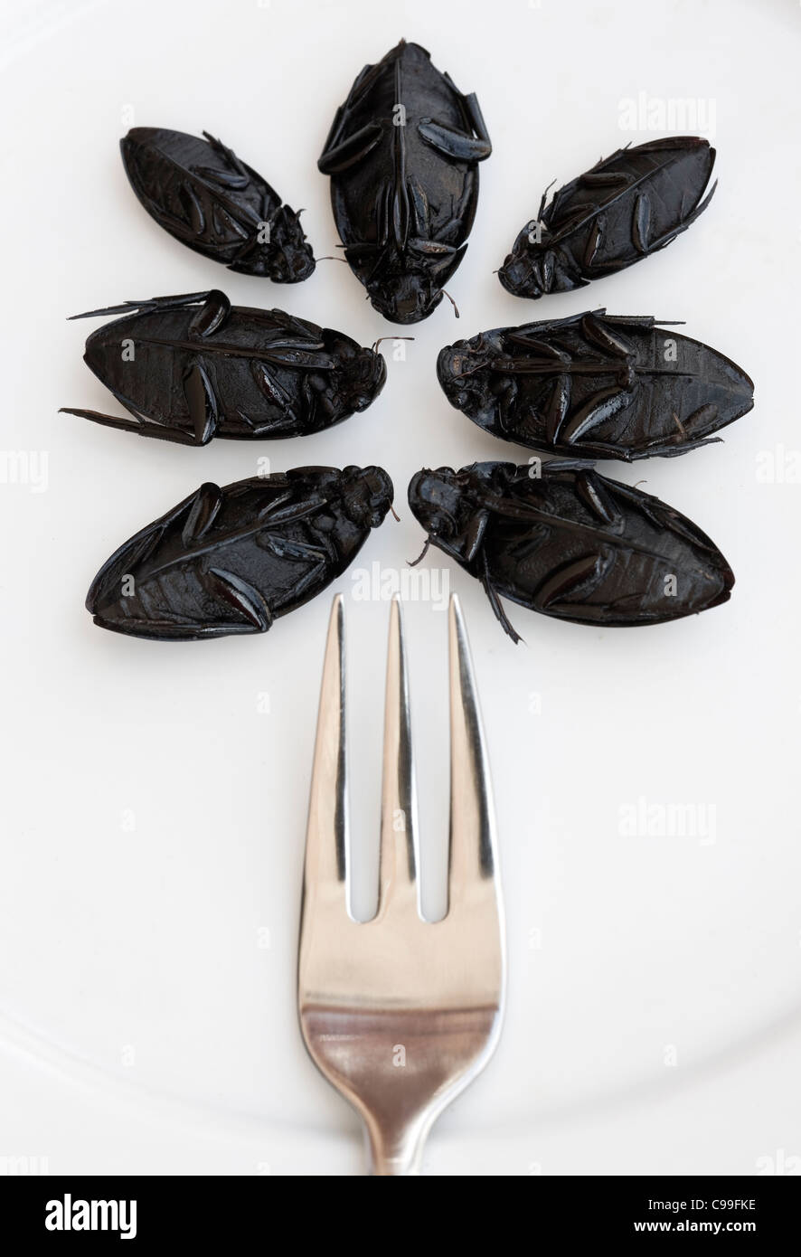 Cooked Beetles as sold in South East Asia - An example of Strange or ...