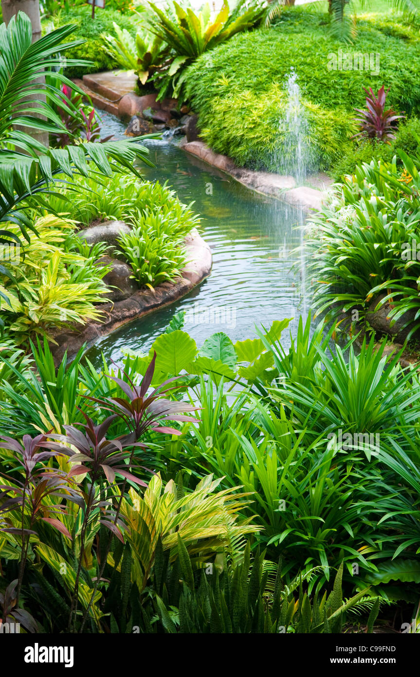Tropical garden, pond and plants Stock Photo - Alamy