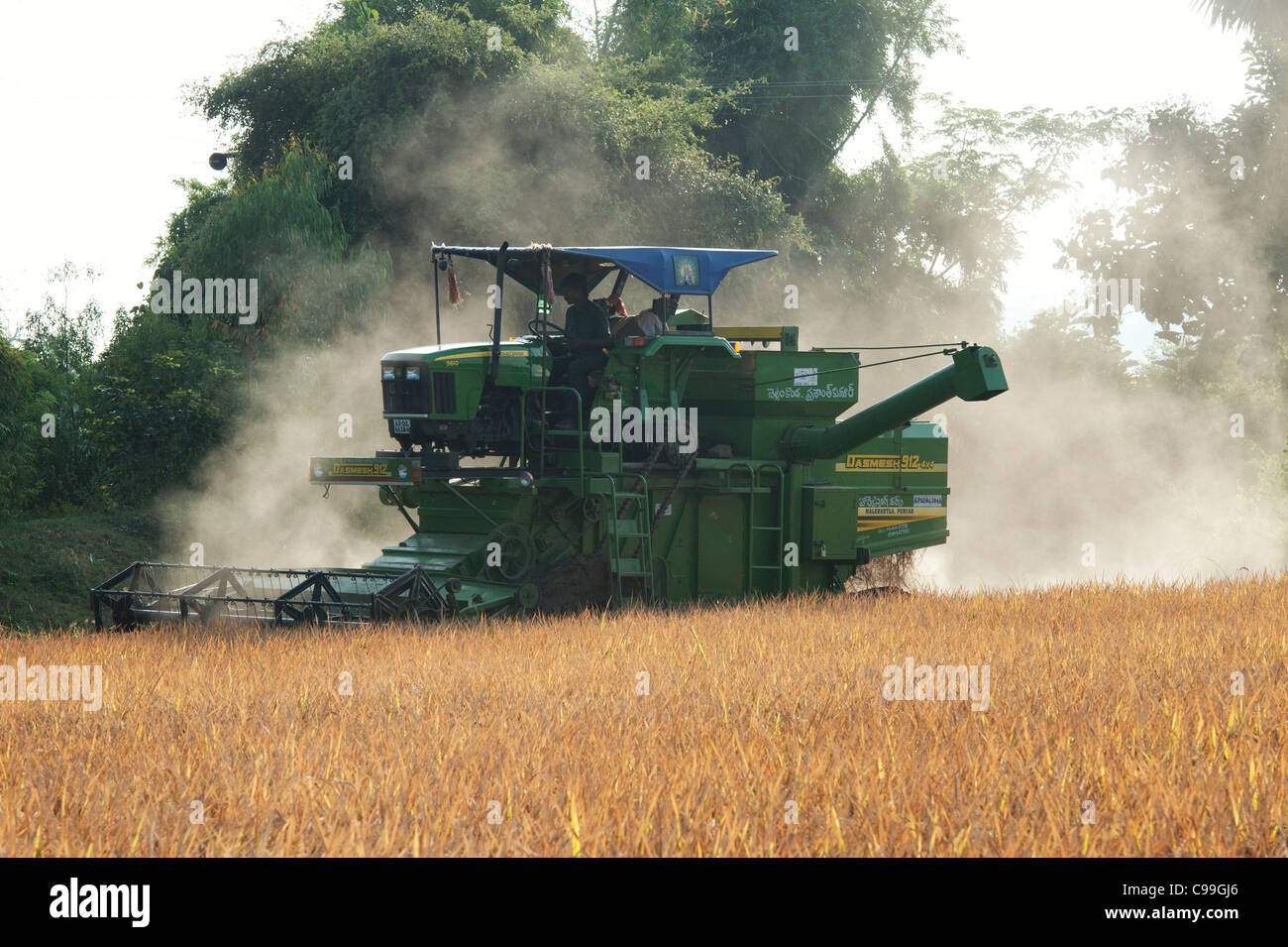 Indian combine harvester harvesting rice crop. Andhra Pradesh, India ...