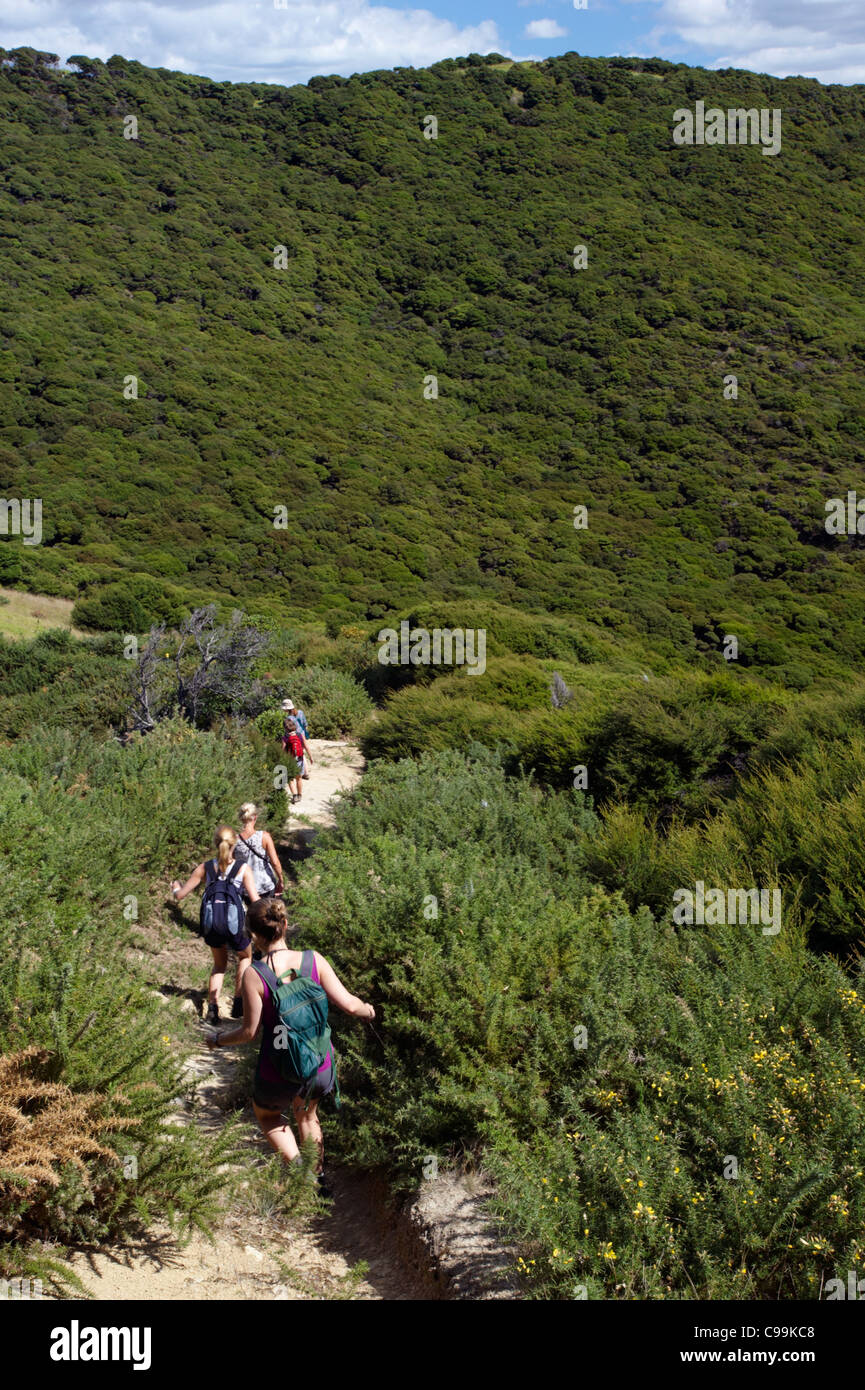 Exploring mountain trails hi-res stock photography and images - Alamy