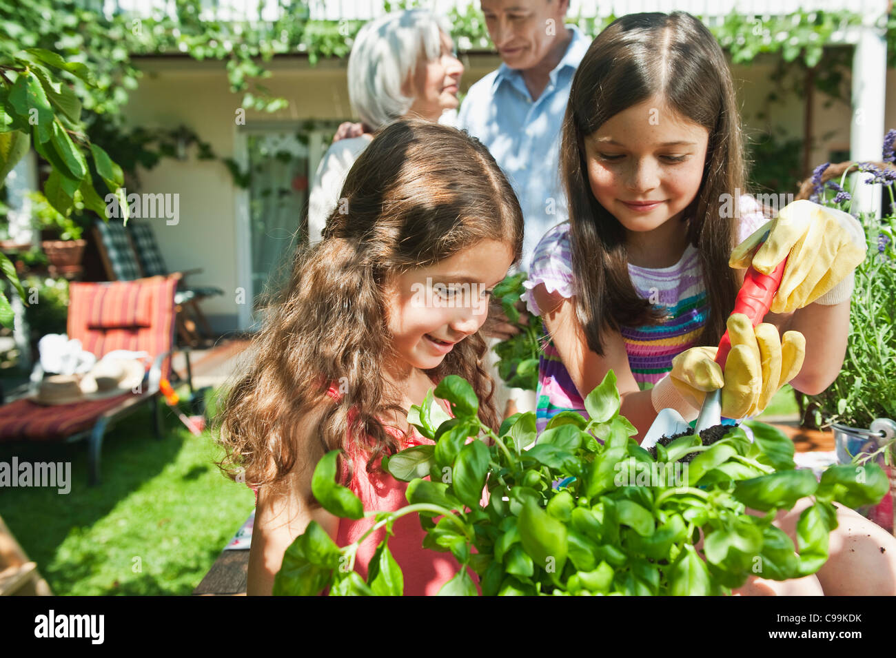 Germany, Bavaria, Family gardening together, smiling Stock Photo - Alamy