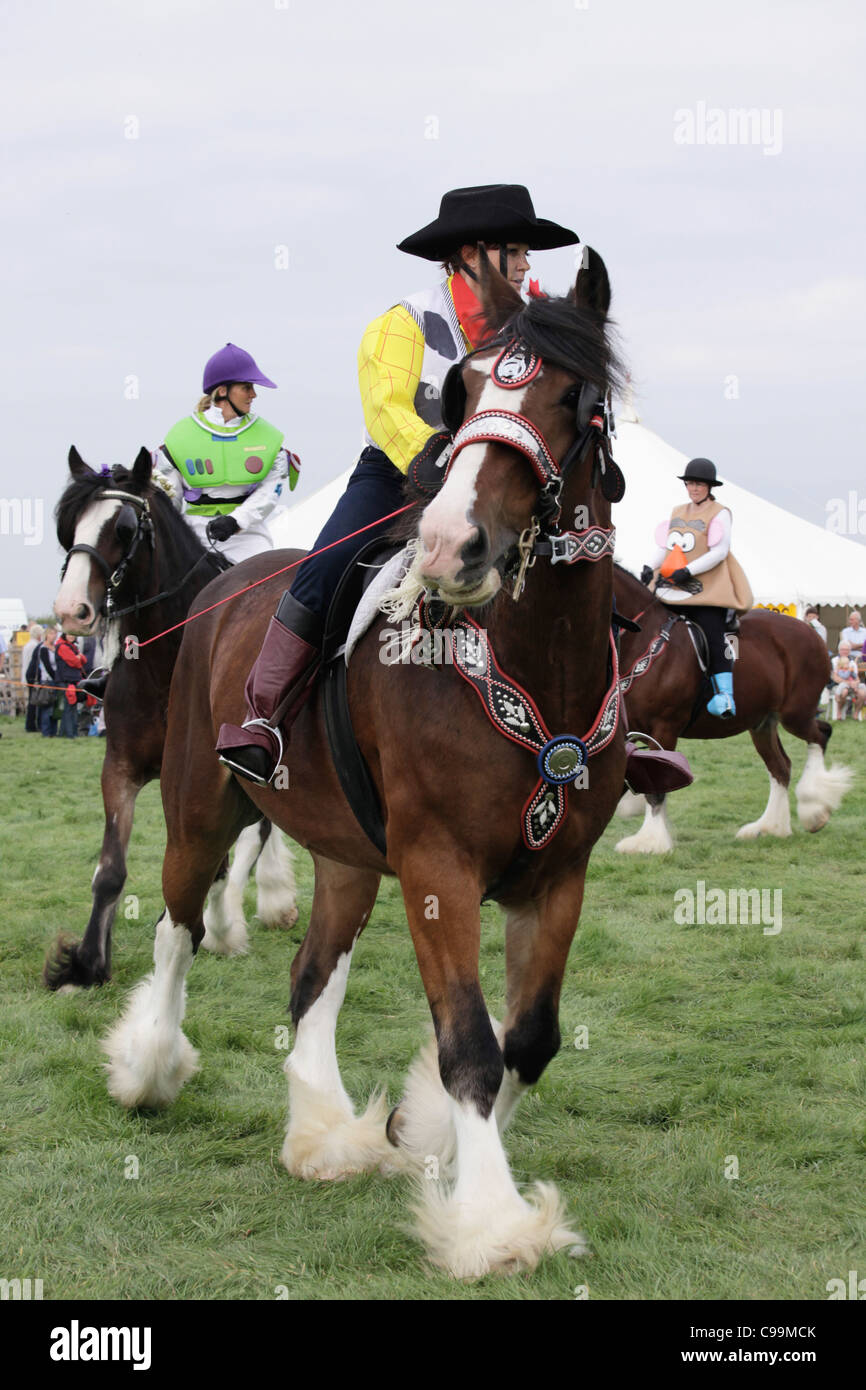 Waldburg Shires musical ride Stock Photo - Alamy