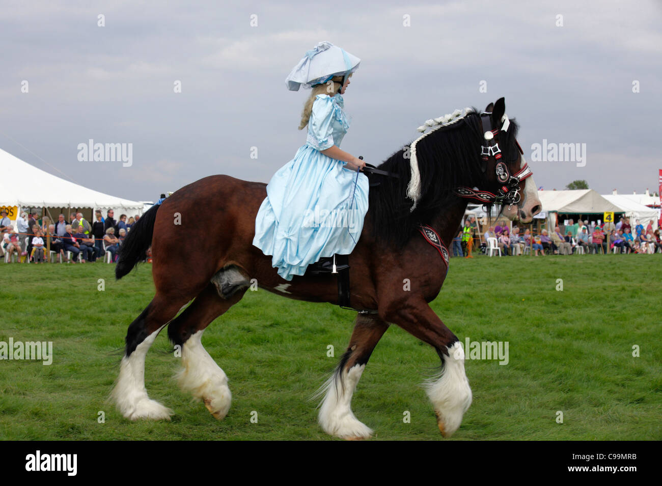 Waldburg Shires musical ride Stock Photo - Alamy
