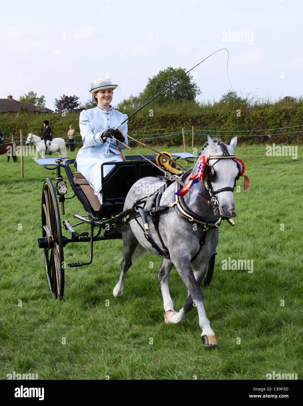 Winner of a carriage driving competition at Gransden and District ...