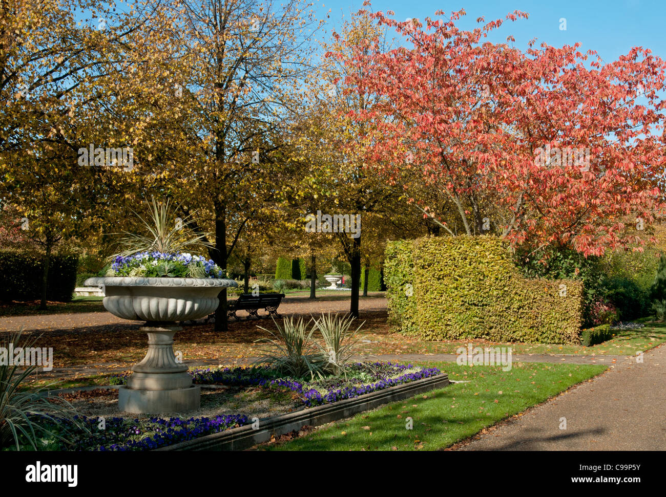 London. Regents Park, Avenue Gardens in autumn Stock Photo - Alamy
