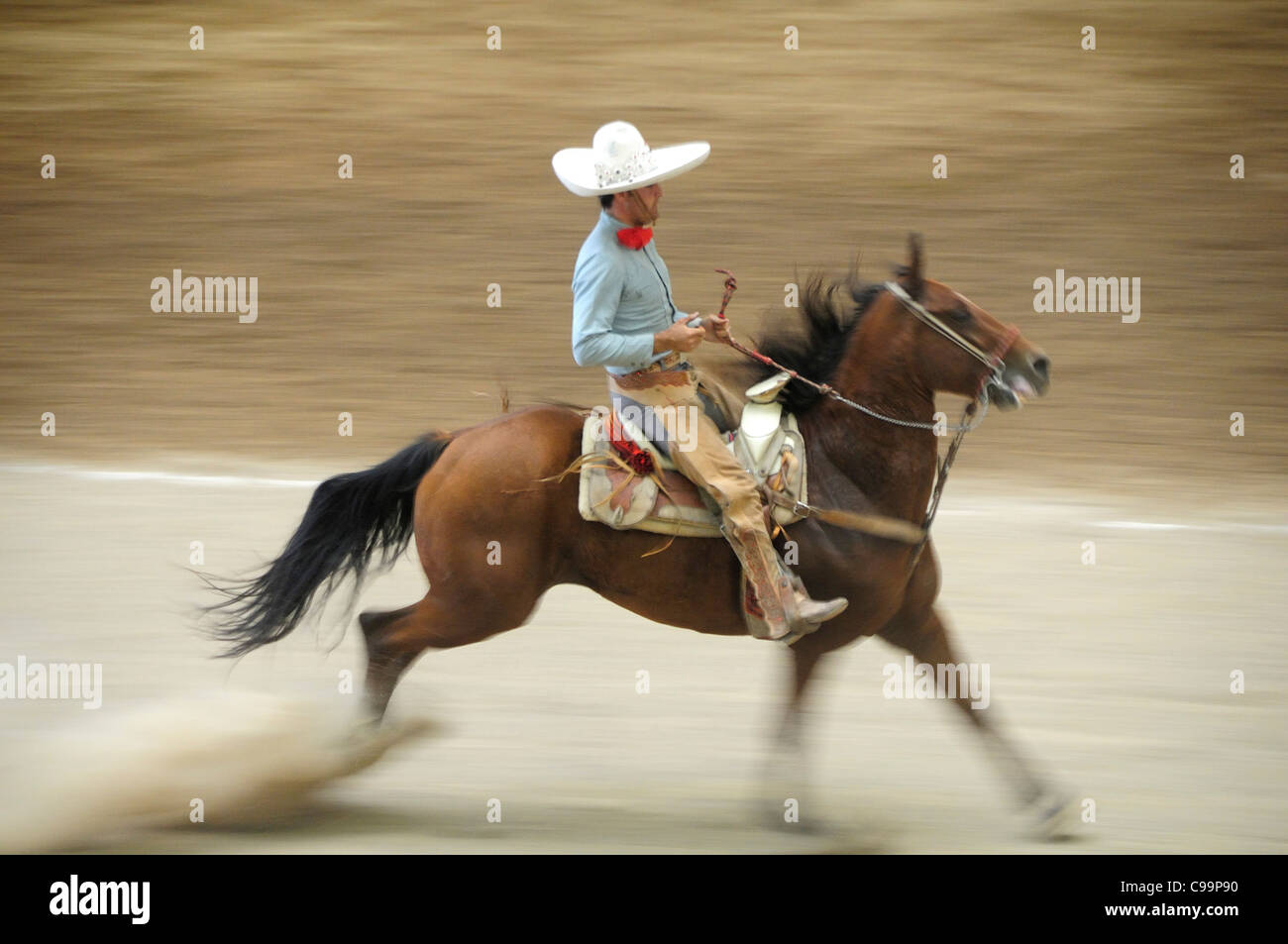Mexico, Bajio, Zacatecas, Traditional horseman or Charro performing at ...