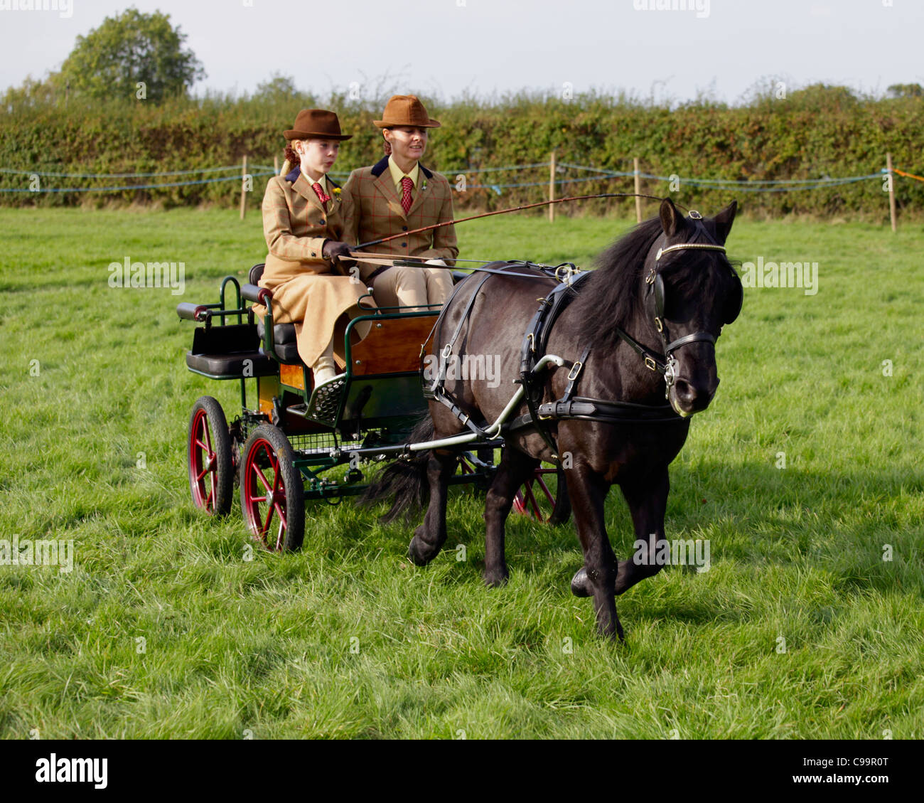 Carriage_driving hi-res stock photography and images - Alamy