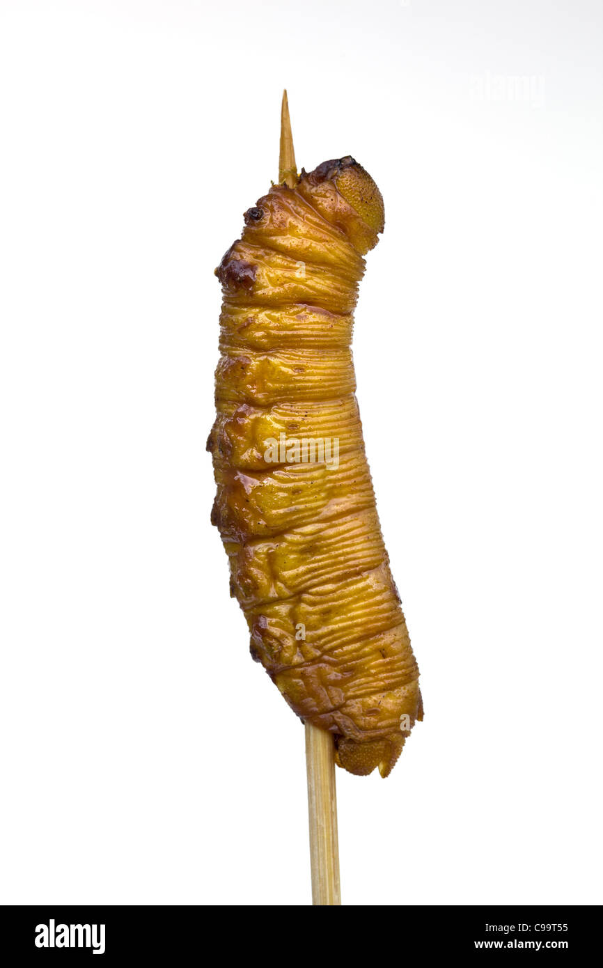Cooked Witchety Grub Kebab sold at Donghuamen Night Market Beijing - An ...