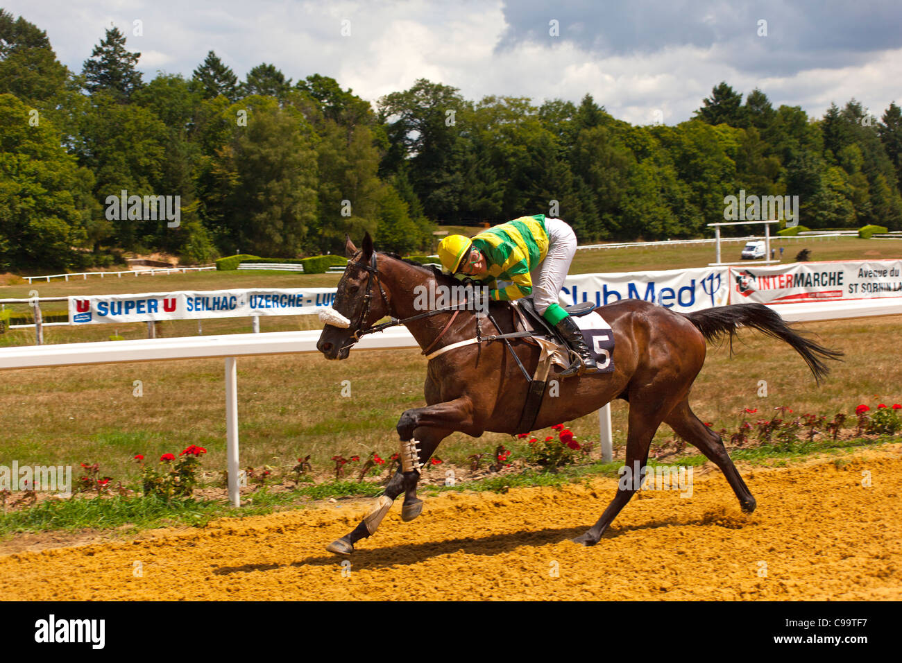Winning horse hi-res stock photography and images - Alamy