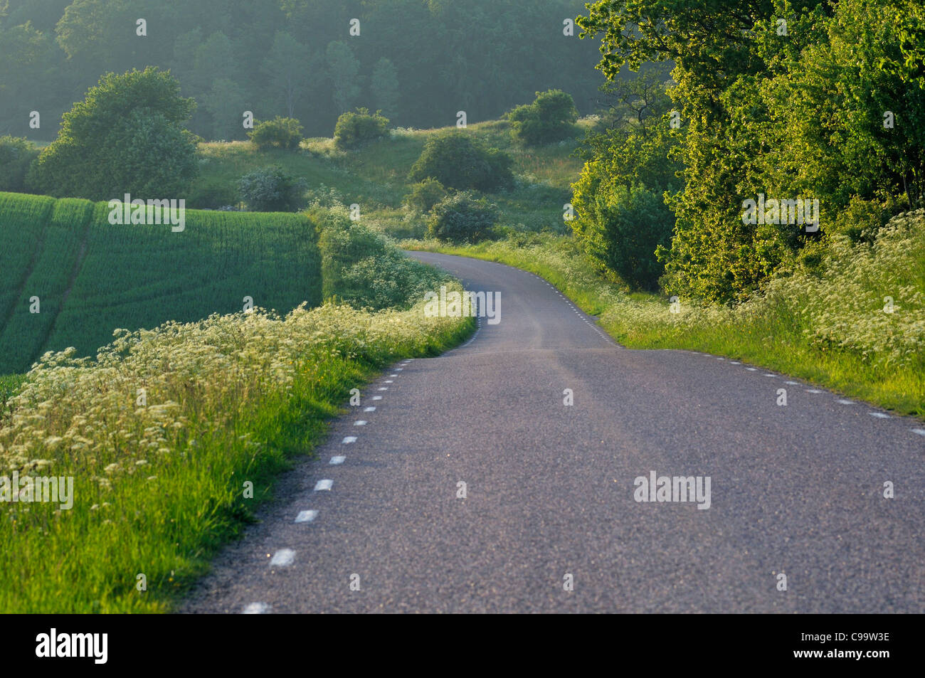 Local road in a hilly landscape with fields and meadows Stock Photo - Alamy