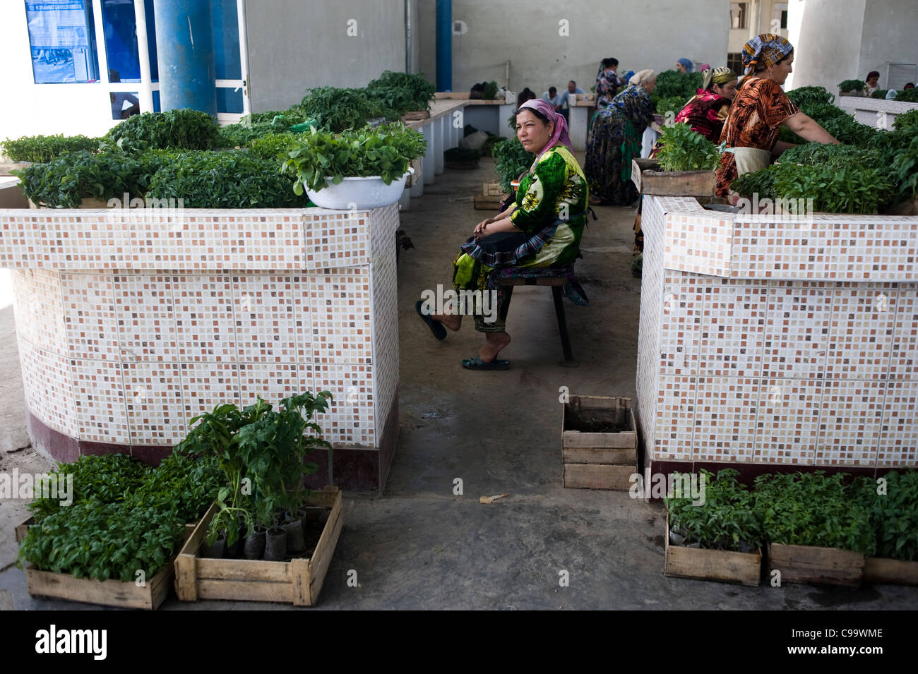 Central Market. Bujara. UZBEKISTAN. Bukhara Stock Photo - Alamy