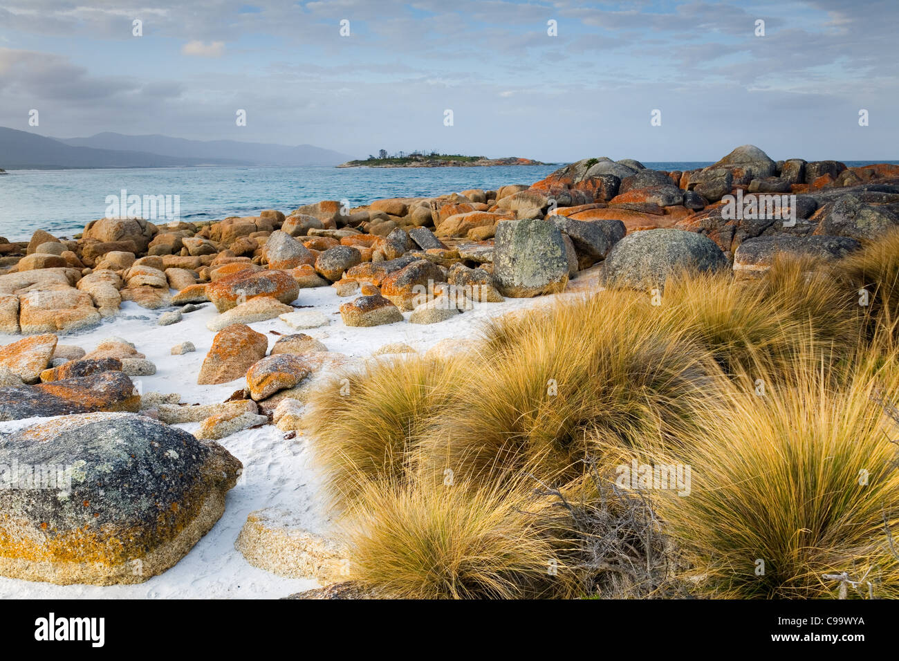 Coastal scenery at Redbill Beach. Bicheno, Tasmania, Australia Stock ...