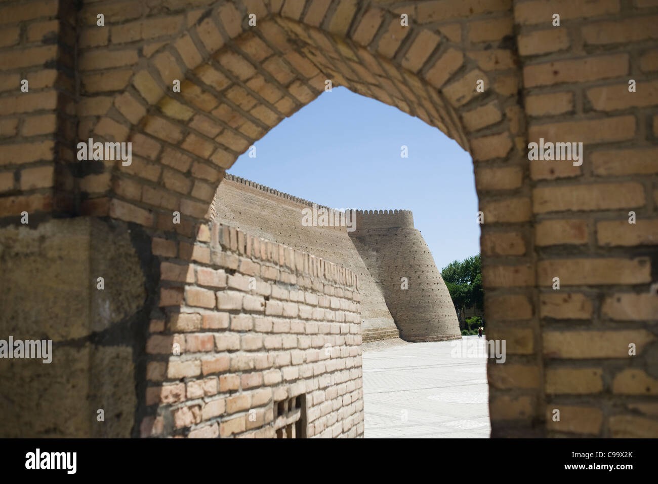 Murallas de la fortaleza Ark. Bujara. UZBEKISTAN. Bukhara. Walls Stock ...