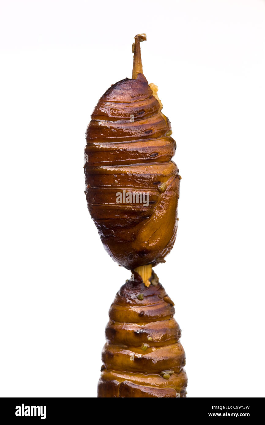 Cooked Silkworm Larvae on sale at Wangfujing Street Food Night Market ...