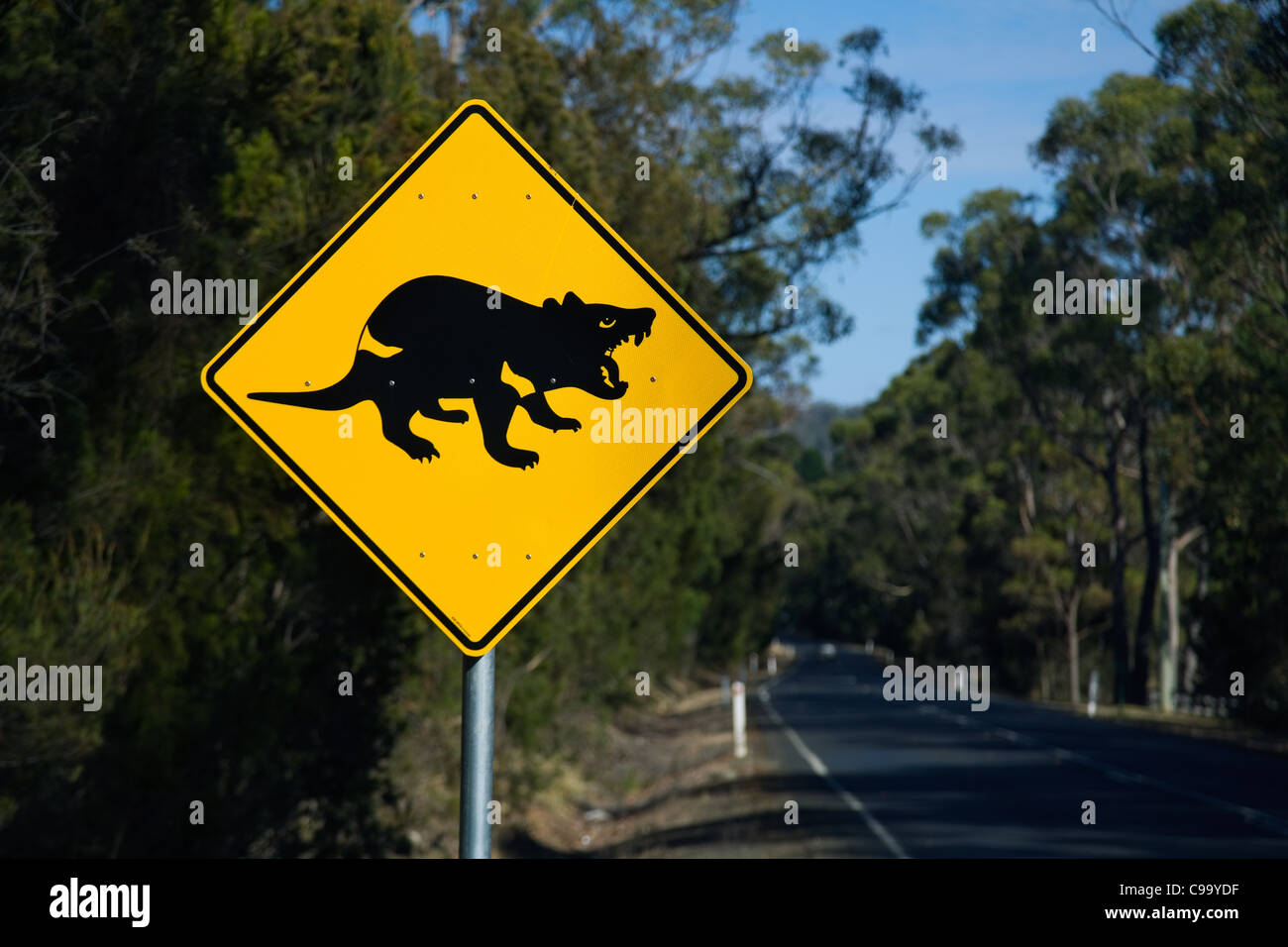 Tasmania highway hi-res stock photography and images - Alamy