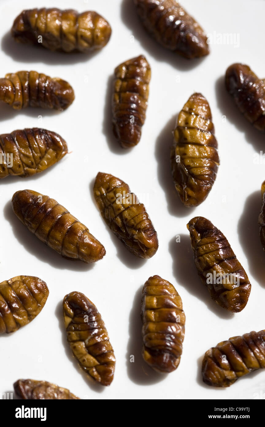 Fried silkworm larvae sold street hi-res stock photography and images ...