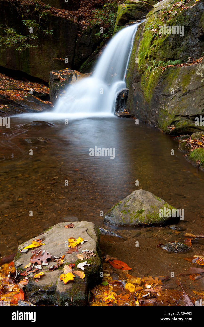 Dodd Creek Falls near Raven Cliff Falls in Georgia Stock Photo - Alamy