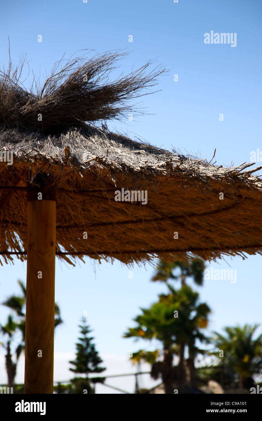 Thatched parasol umbrella sunshade in sunshine Stock Photo - Alamy