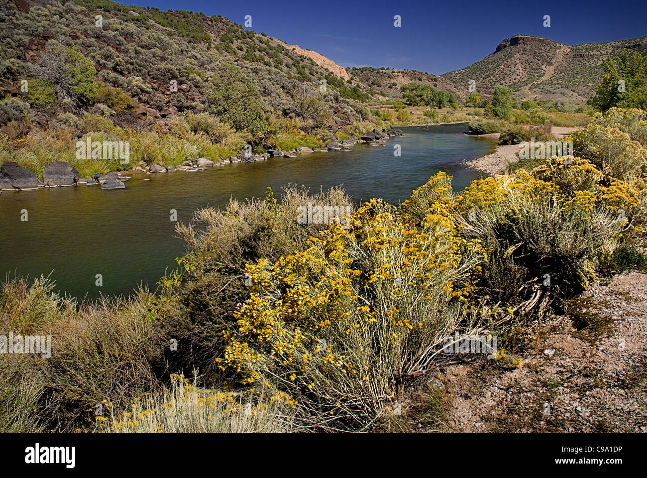 USA, New Mexico, Taos, Rio Grande river Stock Photo - Alamy