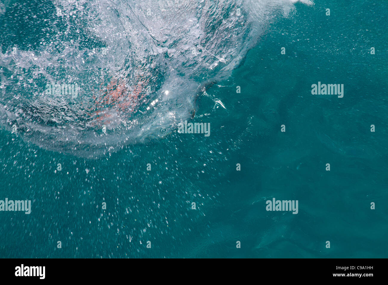 Sea water splash Stock Photo - Alamy