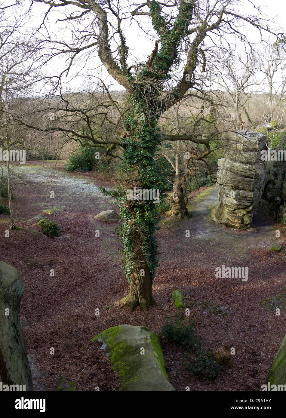 High rocks tunbridge wells hi-res stock photography and images - Alamy