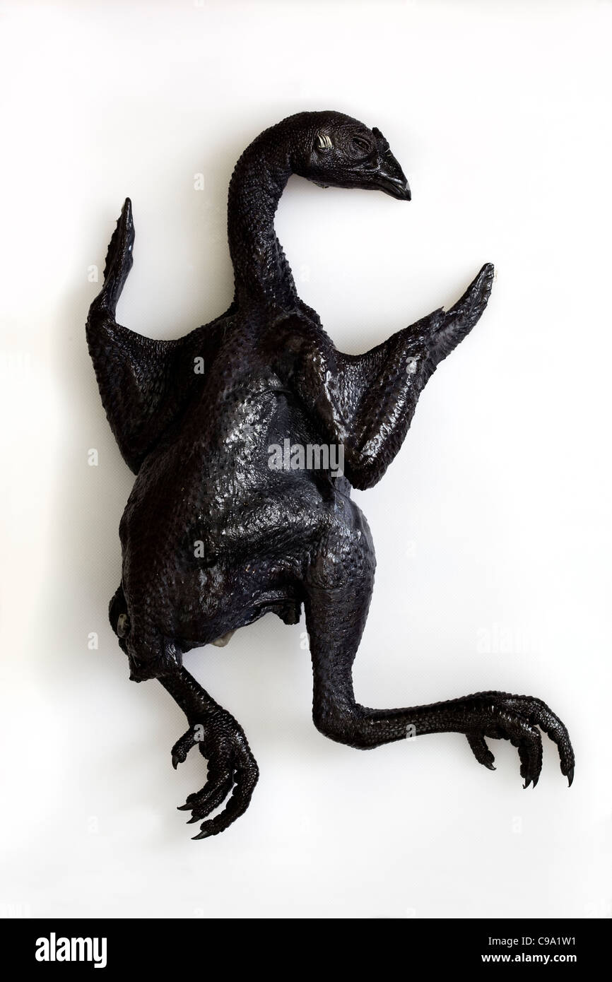 Raw Black Chicken or Silkie - An example of the strange or weird food ...