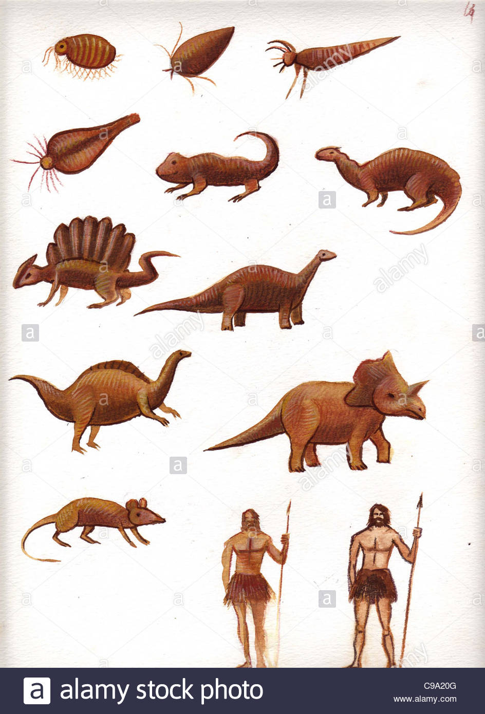Illustrations Dinosaurs Stock Photos & Illustrations Dinosaurs Stock ...