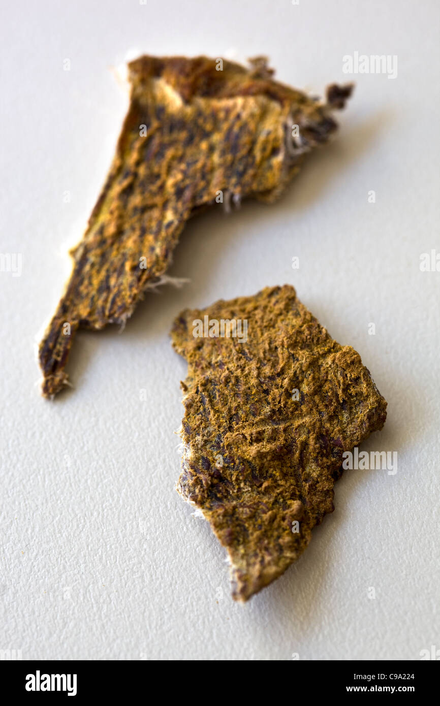 Camel Meat Jerky - An example of the strange or weird food eaten by ...